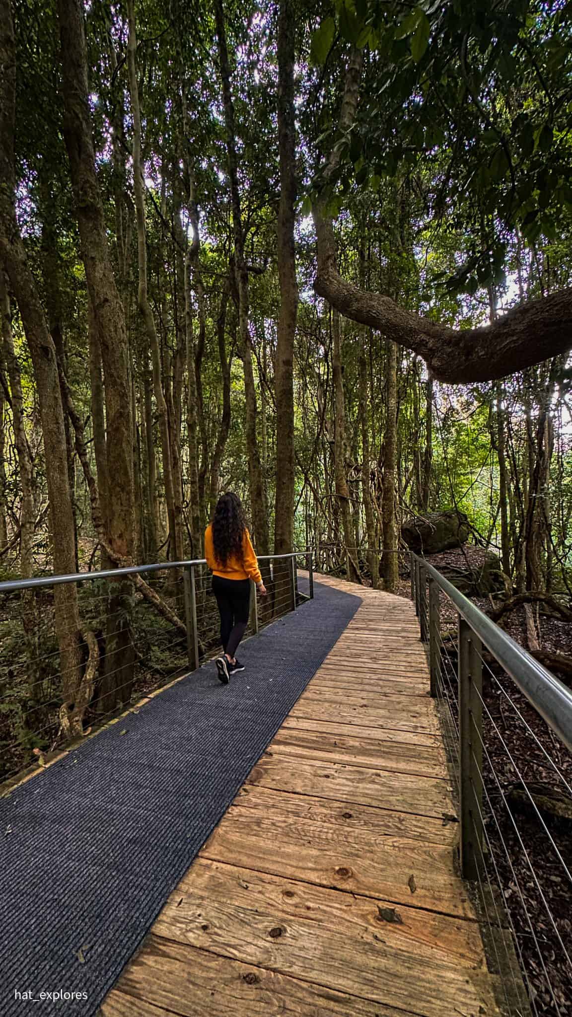 A Local's Guide to Scenic World in 2025 : Plan Your Visit with Insider Tips