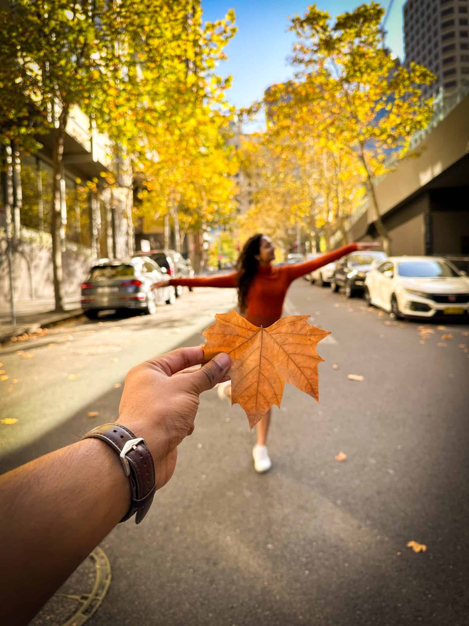 The Best Time to See Autumn Leaves In Sydney (From A Local)!