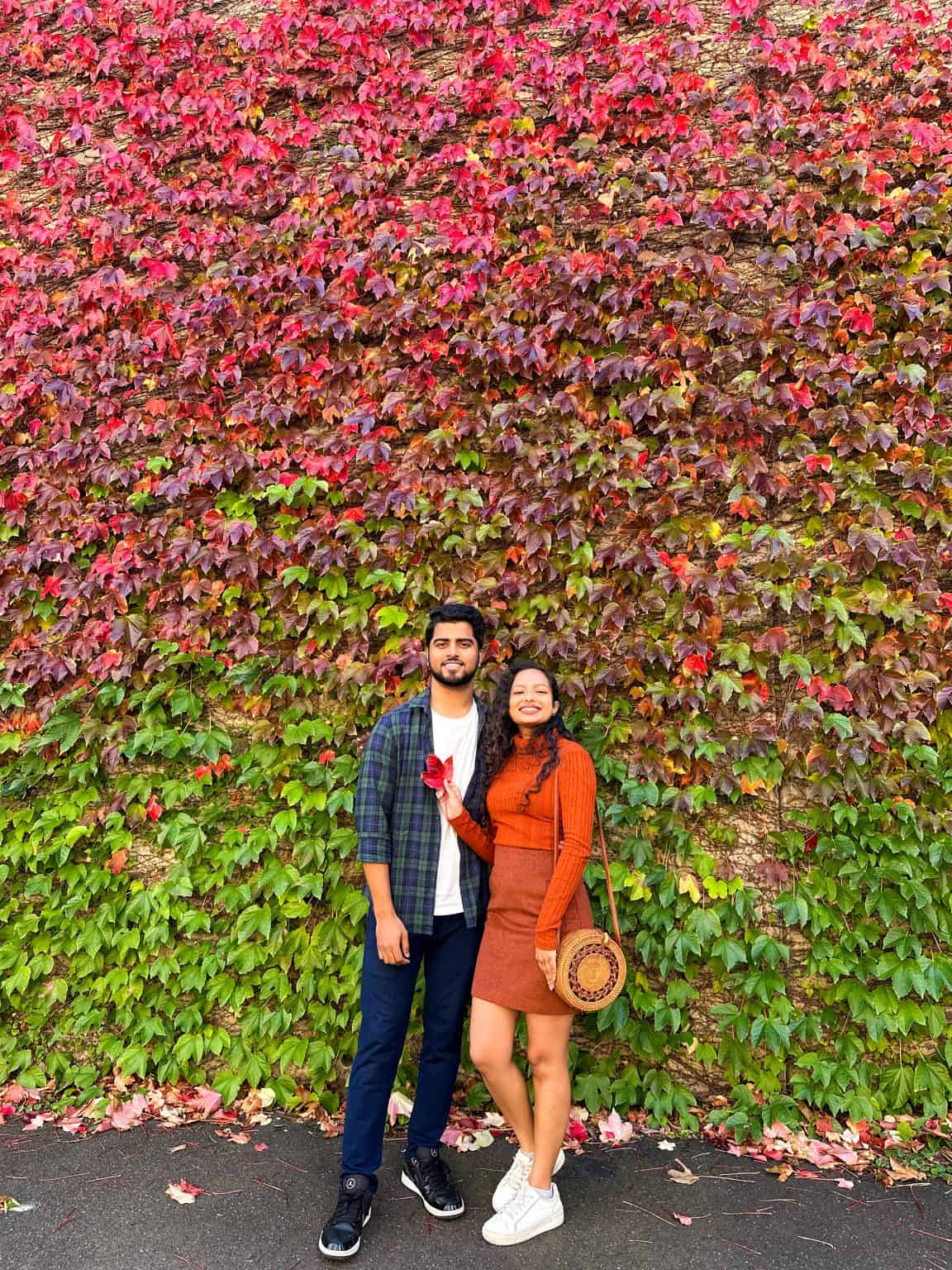 The Best Time to See Autumn Leaves In Sydney (From A Local)!