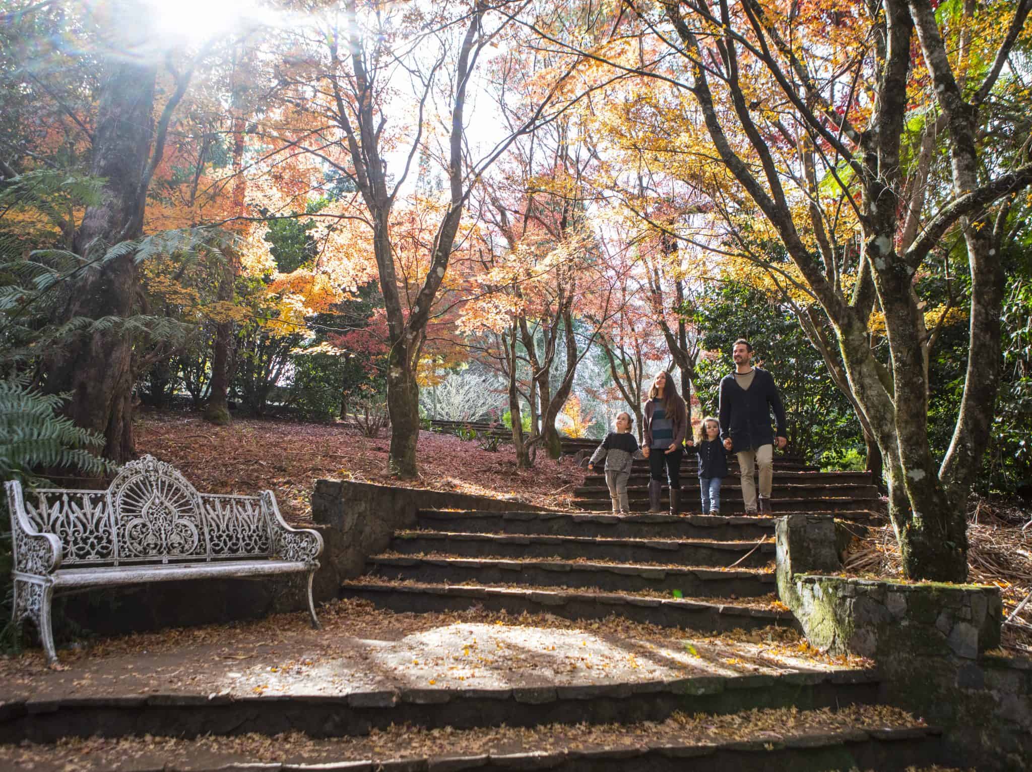 The Best Time to See Autumn Leaves In Sydney (From A Local)!