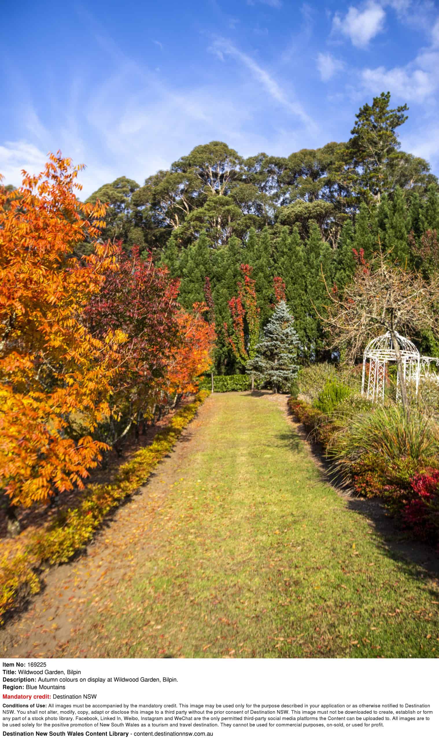 Blue Mountains Autumn Guide: 12 Best Places Worth Visiting
