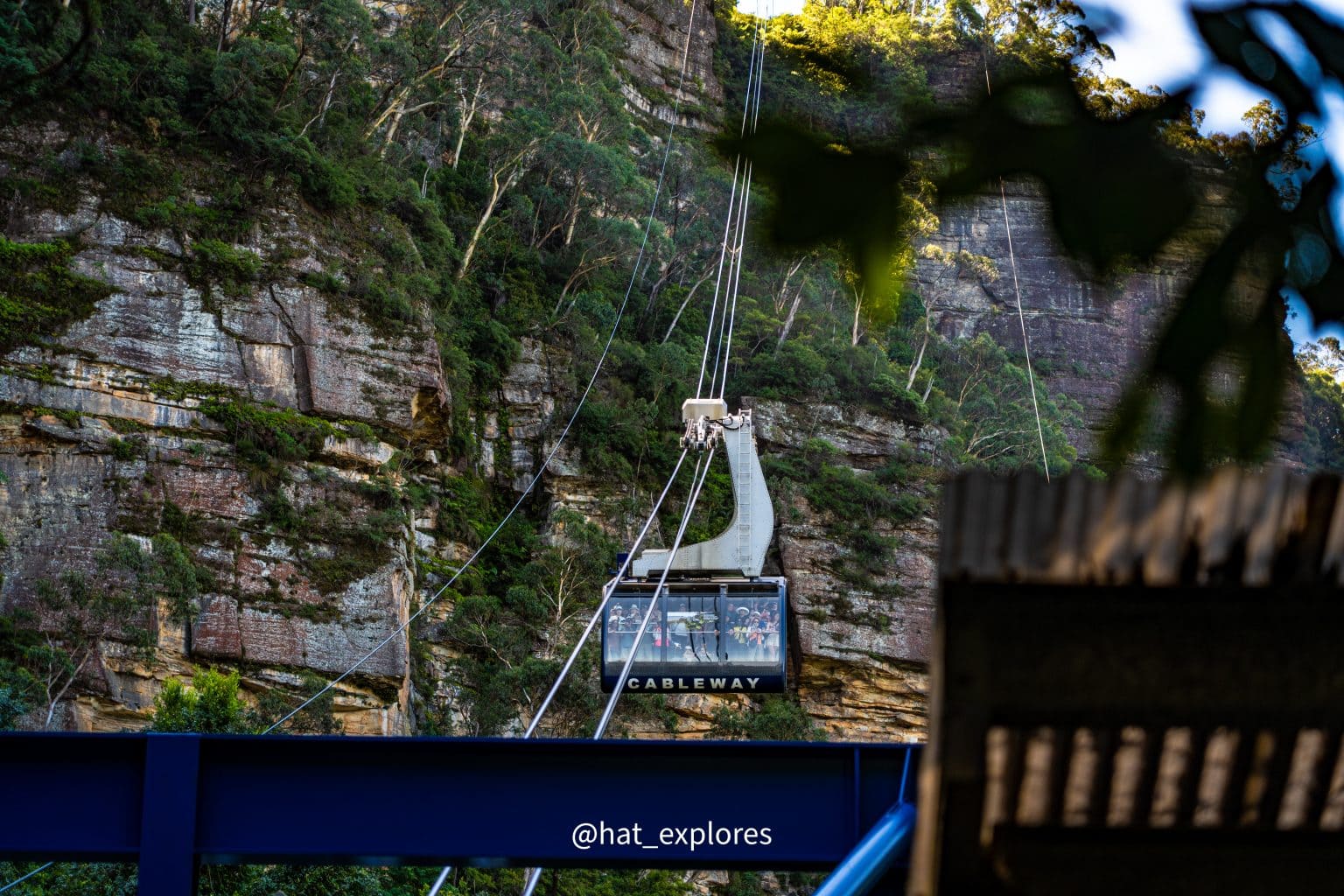 A Local's Guide to Scenic World in 2025 : Plan Your Visit with Insider Tips