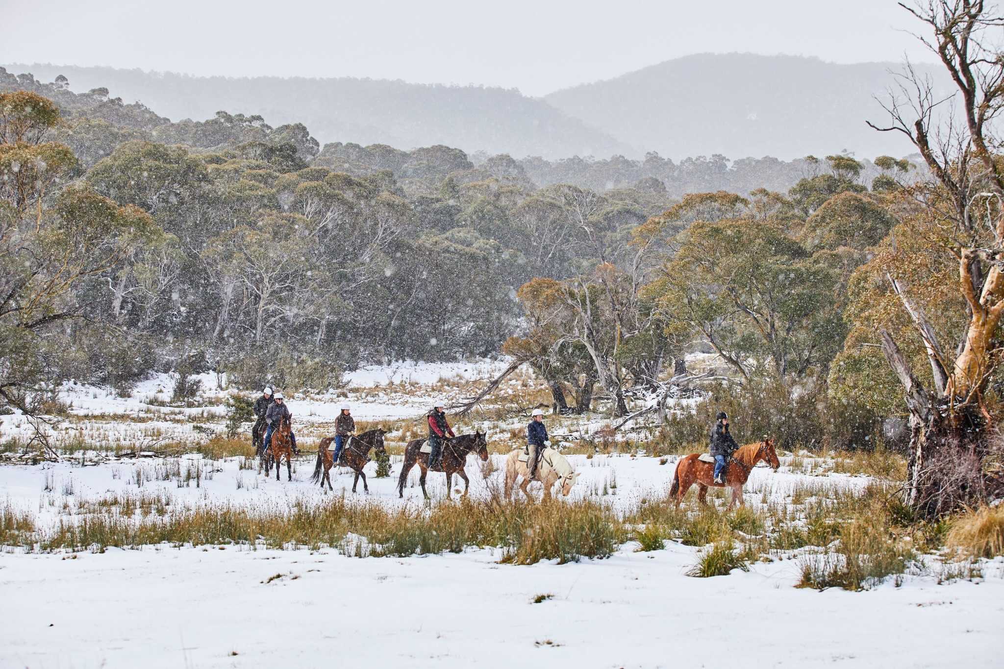 The Best Time to Visit the Snowy Mountains + Iconic Things to do!
