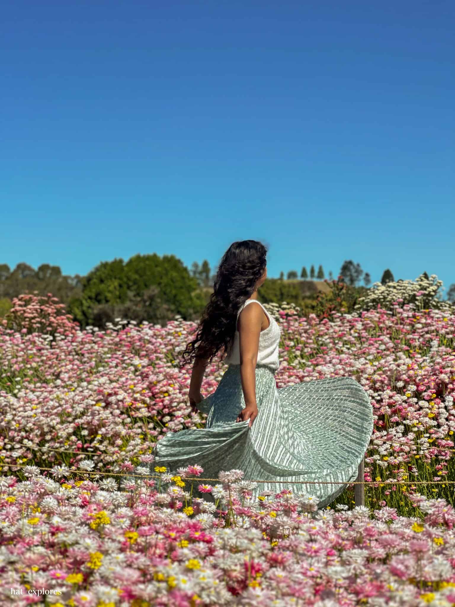 12 Best Places to Find Spring Flowers in Sydney (+ Beyond!)