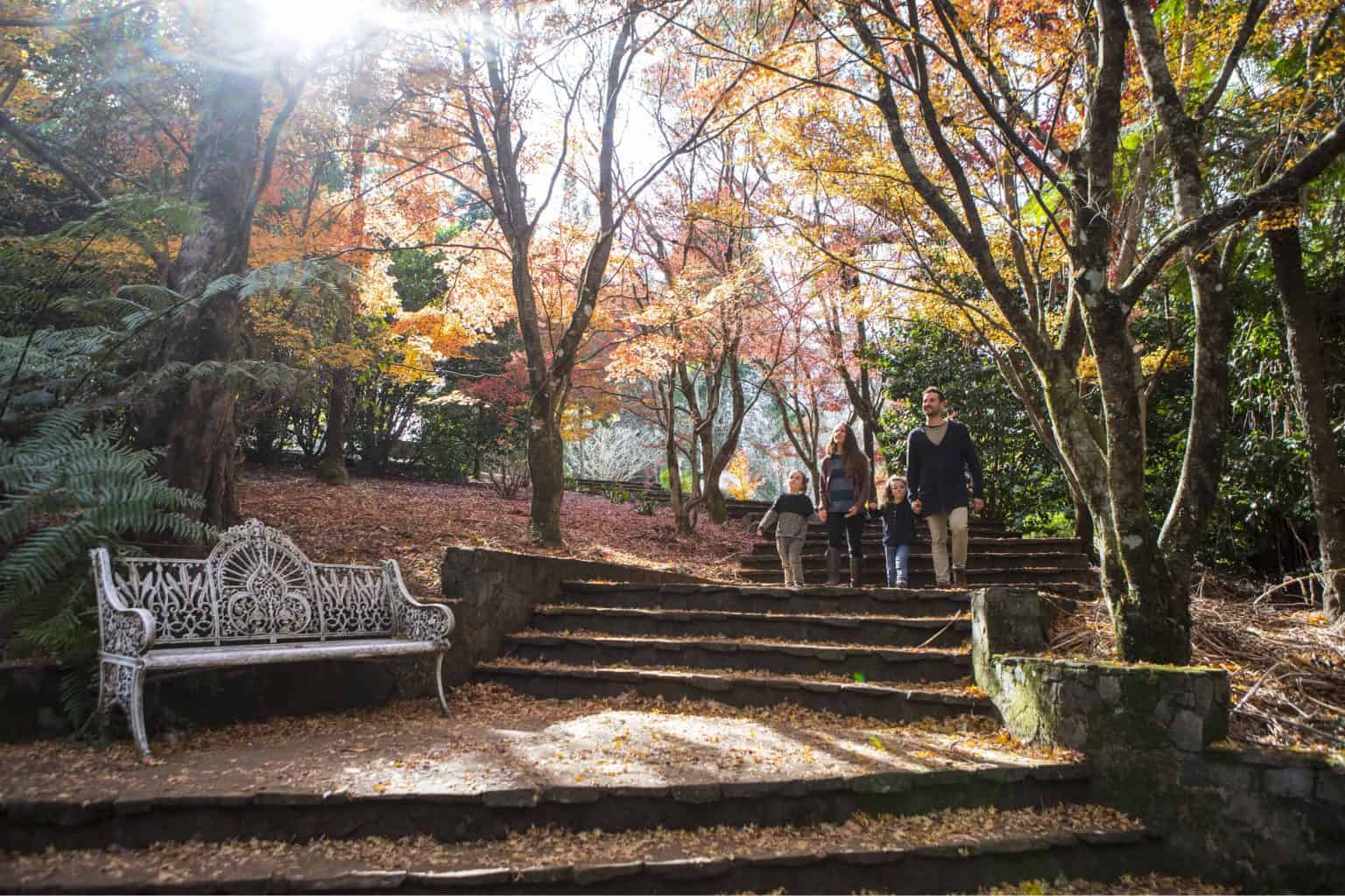 Best Things to Do In Spring In Sydney (2025)