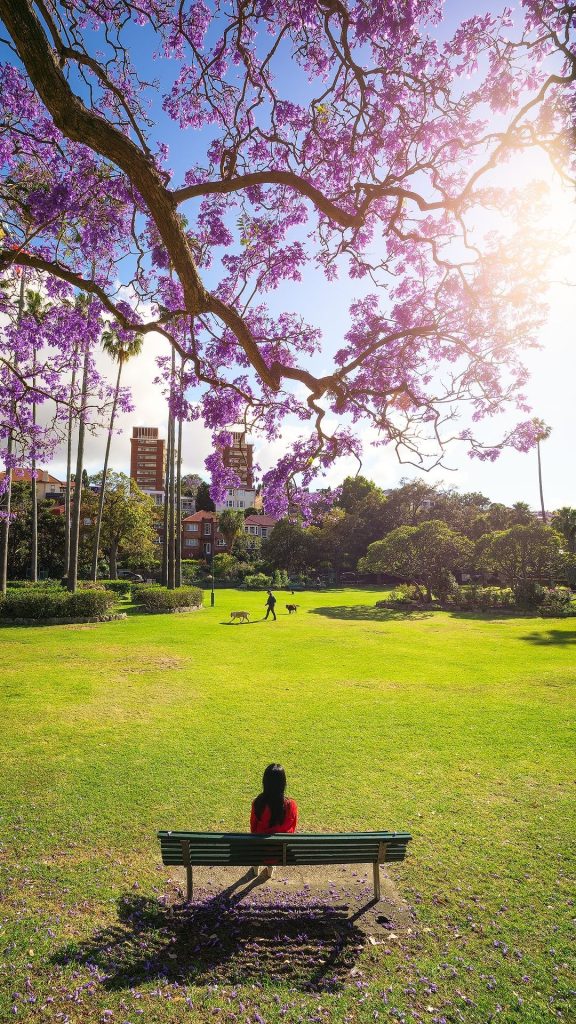 12 Best Places to Find Spring Flowers in Sydney (+ Beyond!)
